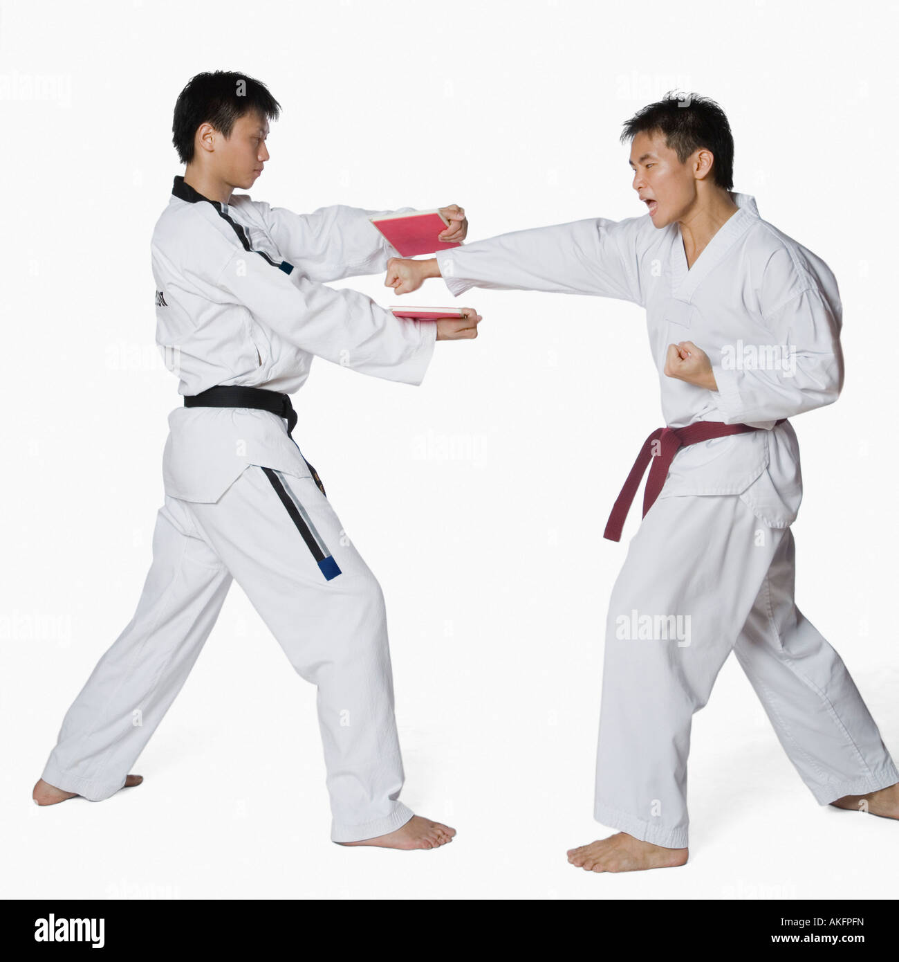 Male karate instructor teaching martial arts to a young man Stock Photo ...