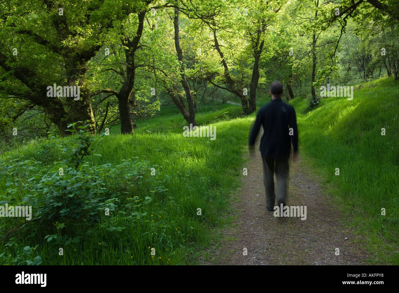 001268 hi-res stock photography and images - Alamy