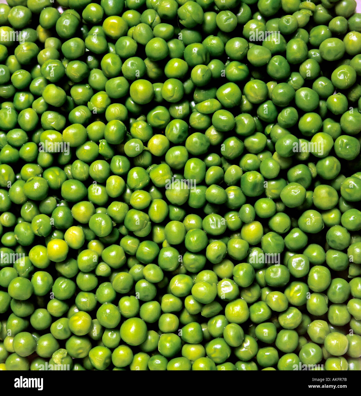 Struktur shell hi-res stock photography and images - Alamy