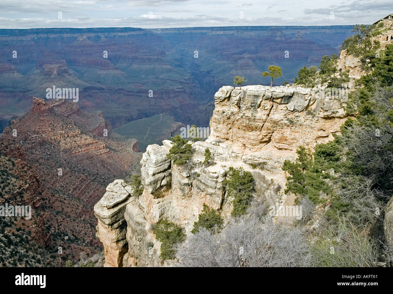View of the Grand Canyon at Bright Angel point Stock Photo - Alamy