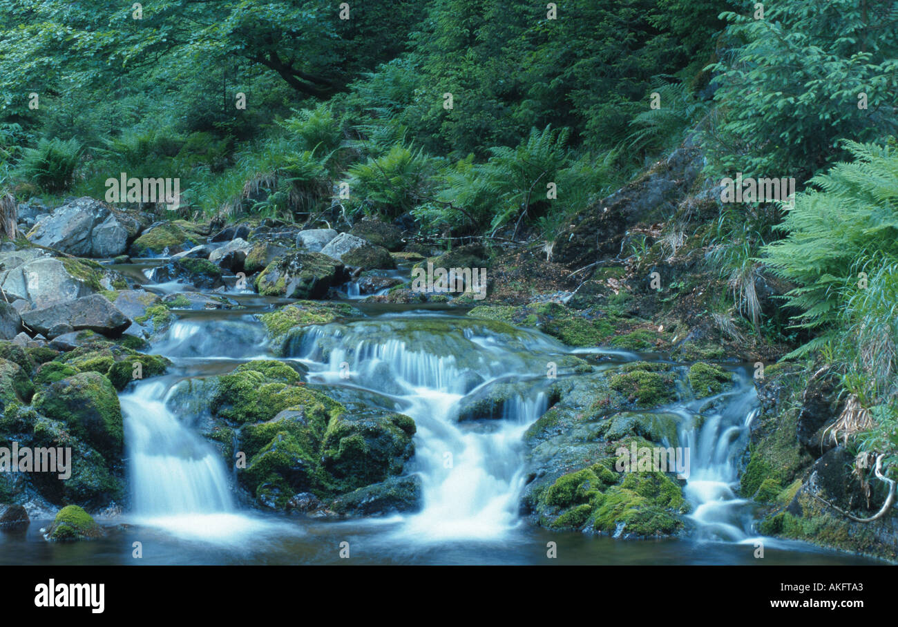 Radau river hi-res stock photography and images - Alamy
