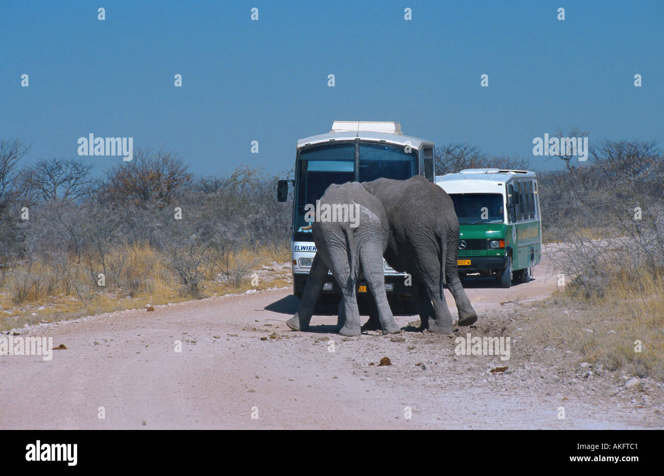 Bus Namibia High Resolution Stock Photography and Images - Alamy
