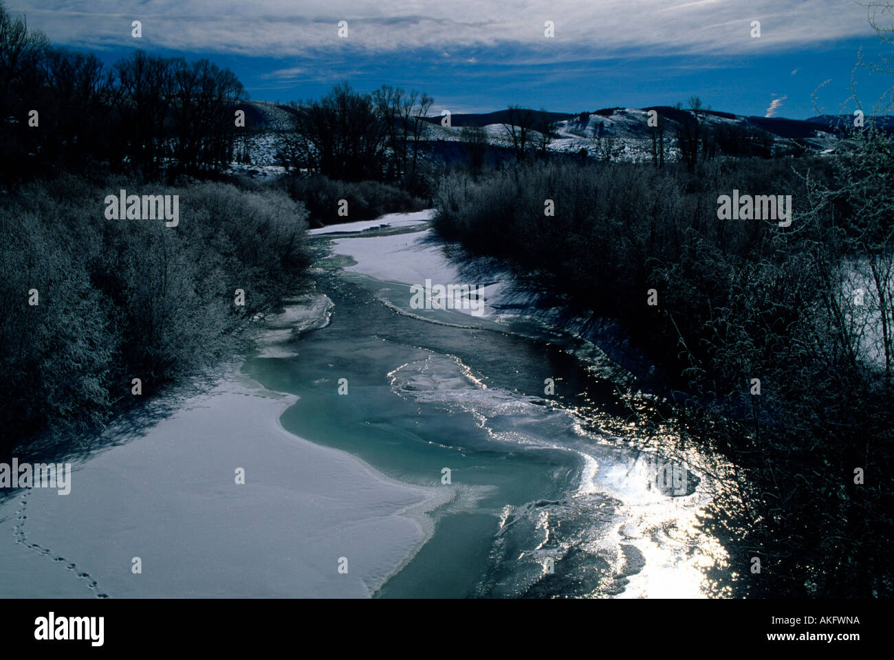 Silverthorn High Resolution Stock Photography and Images - Alamy