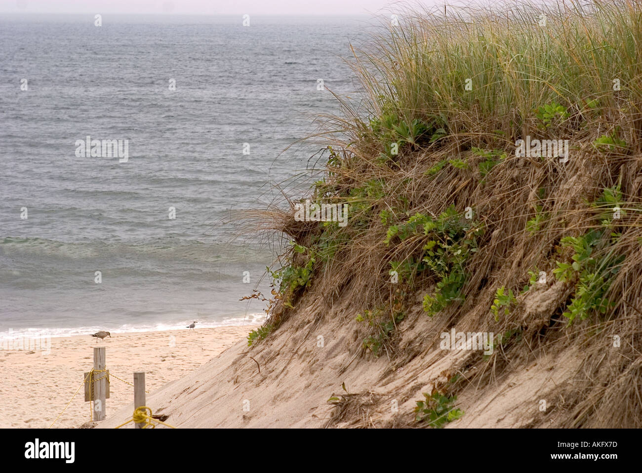 Cape cod beach overlook High Resolution Stock Photography and Images ...