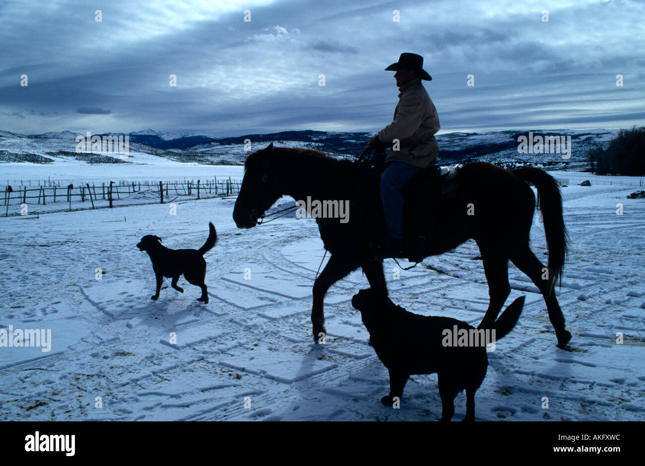 Reitstall hi-res stock photography and images - Alamy