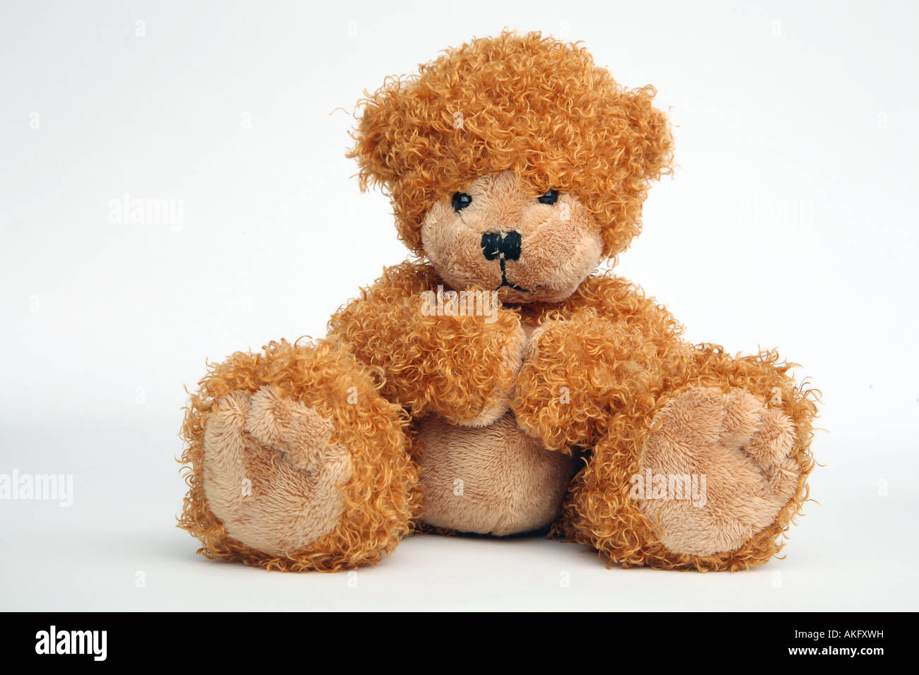 Classic teddy bear Stock Photo - Alamy