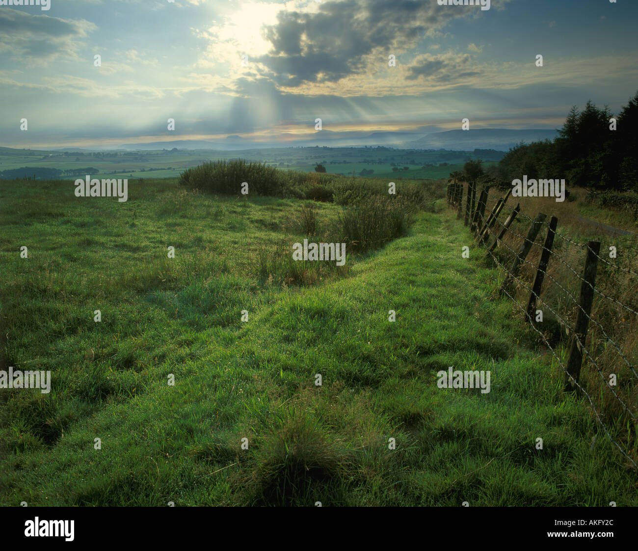 Beacon fell country park hi-res stock photography and images - Alamy