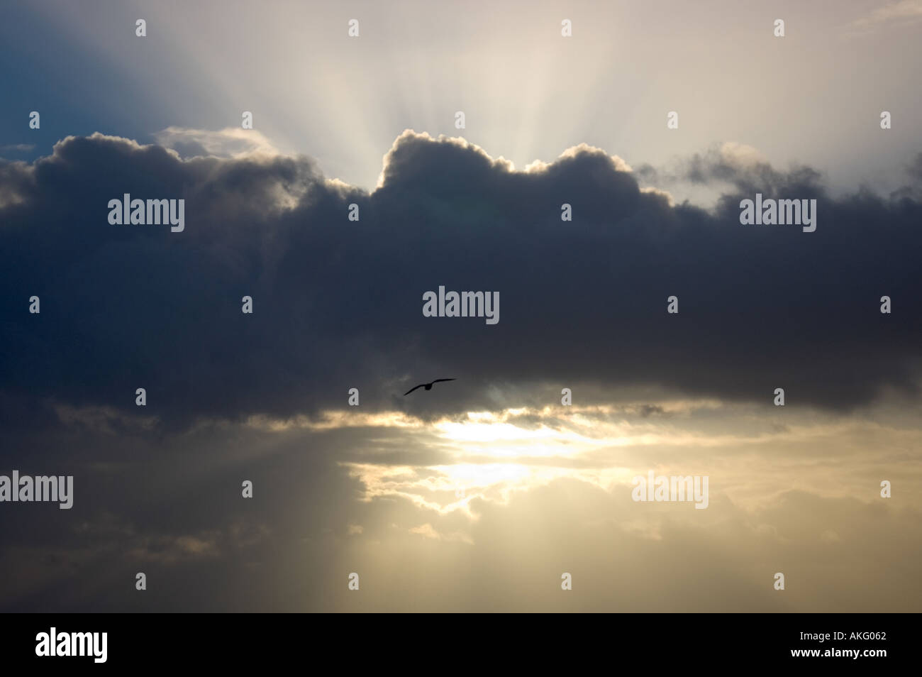 Sunset and sun rays Stock Photo - Alamy