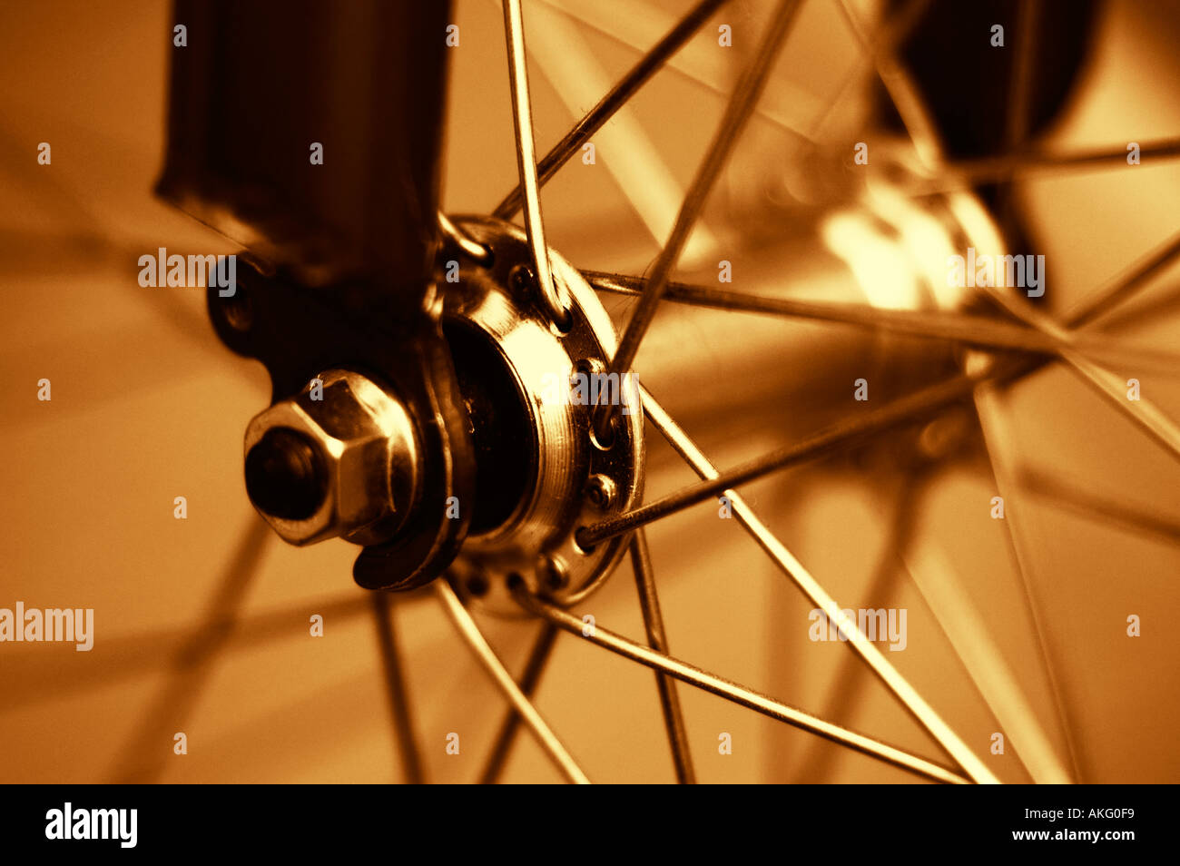 Bicycle wheel showing spindle and spokes Stock Photo - Alamy