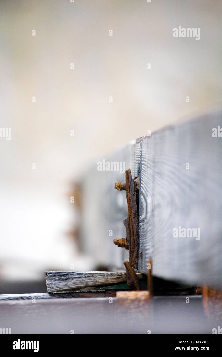 Old rusty bolt in a wooden deal Stock Photo - Alamy
