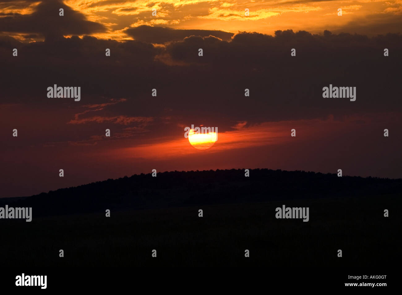 A beautiful African sunset in the Masai Mara, Kenya Stock Photo - Alamy