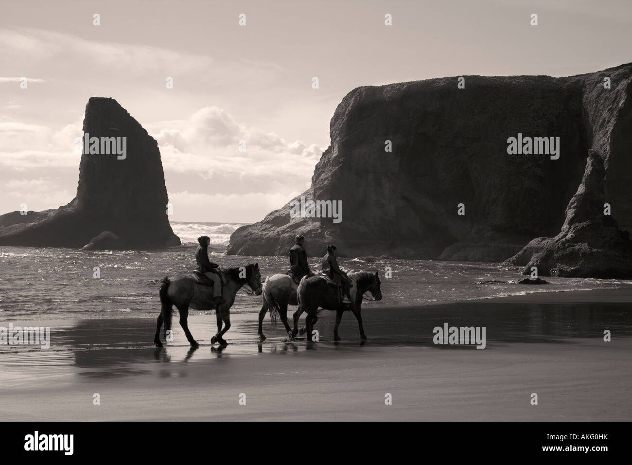 three riders on horses Stock Photo - Alamy