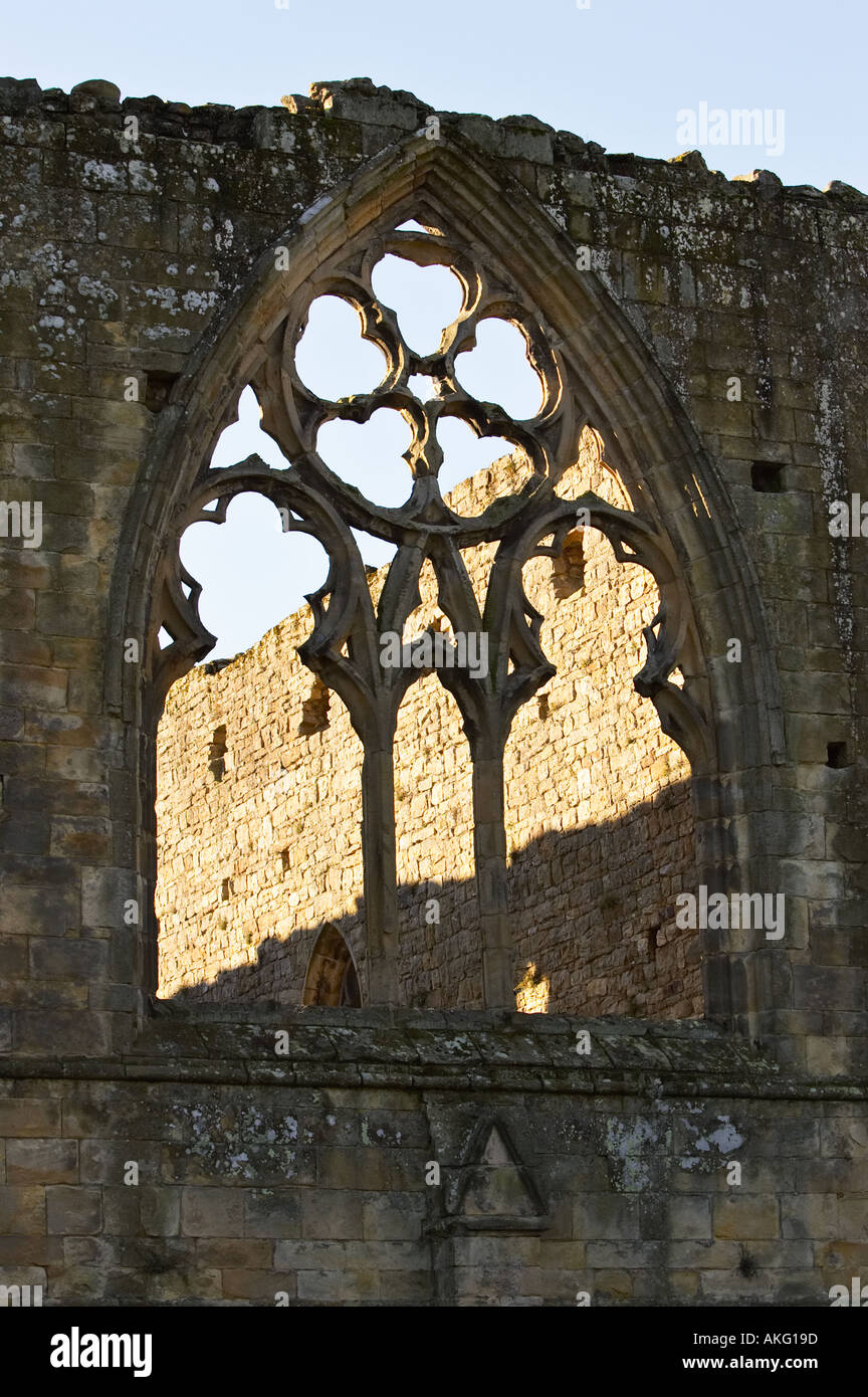 Abbey ruins window hi-res stock photography and images - Alamy