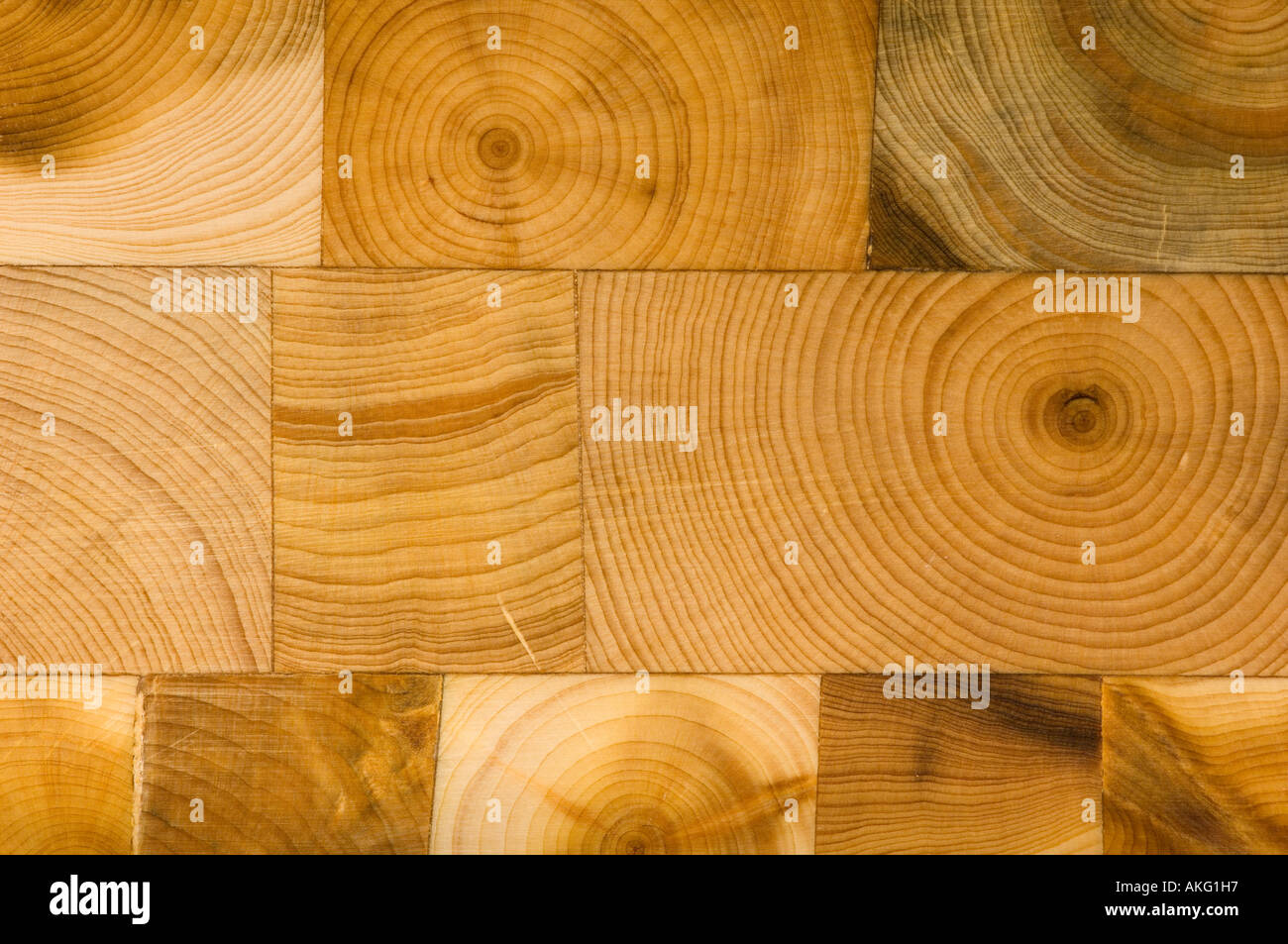 Detail of annular tree rings in a hand made box Stock Photo - Alamy