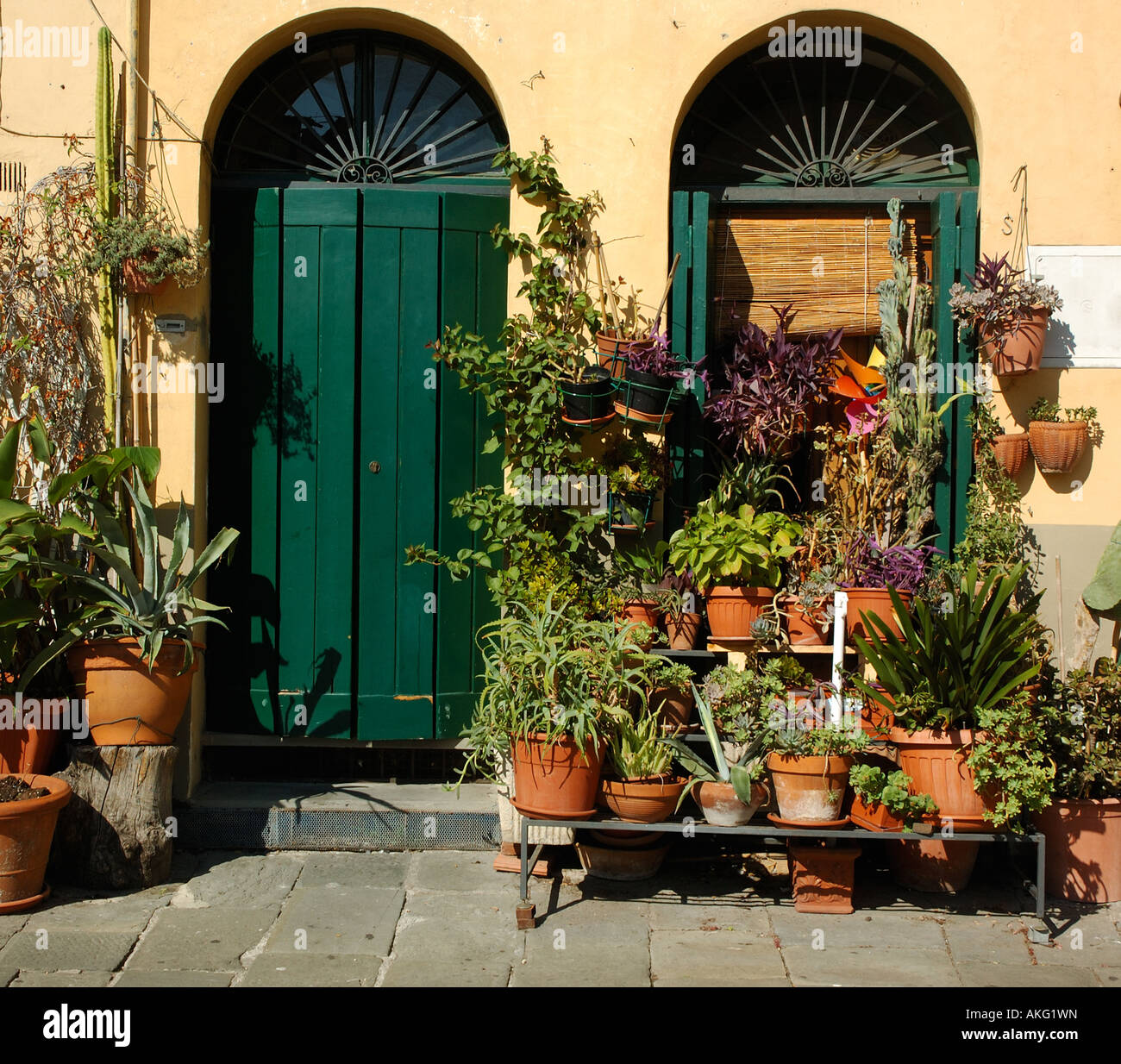 Italy, Lucca, Piazza Anfiteatro, Shop Display Of Plants For Sale ...