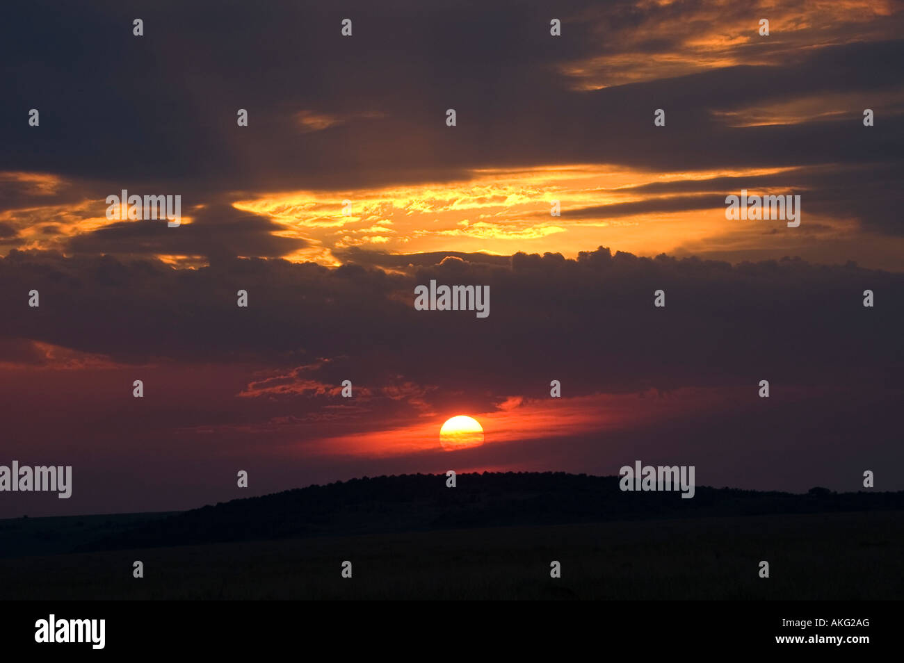 A beautiful African sunset in the Masai Mara, Kenya Stock Photo - Alamy