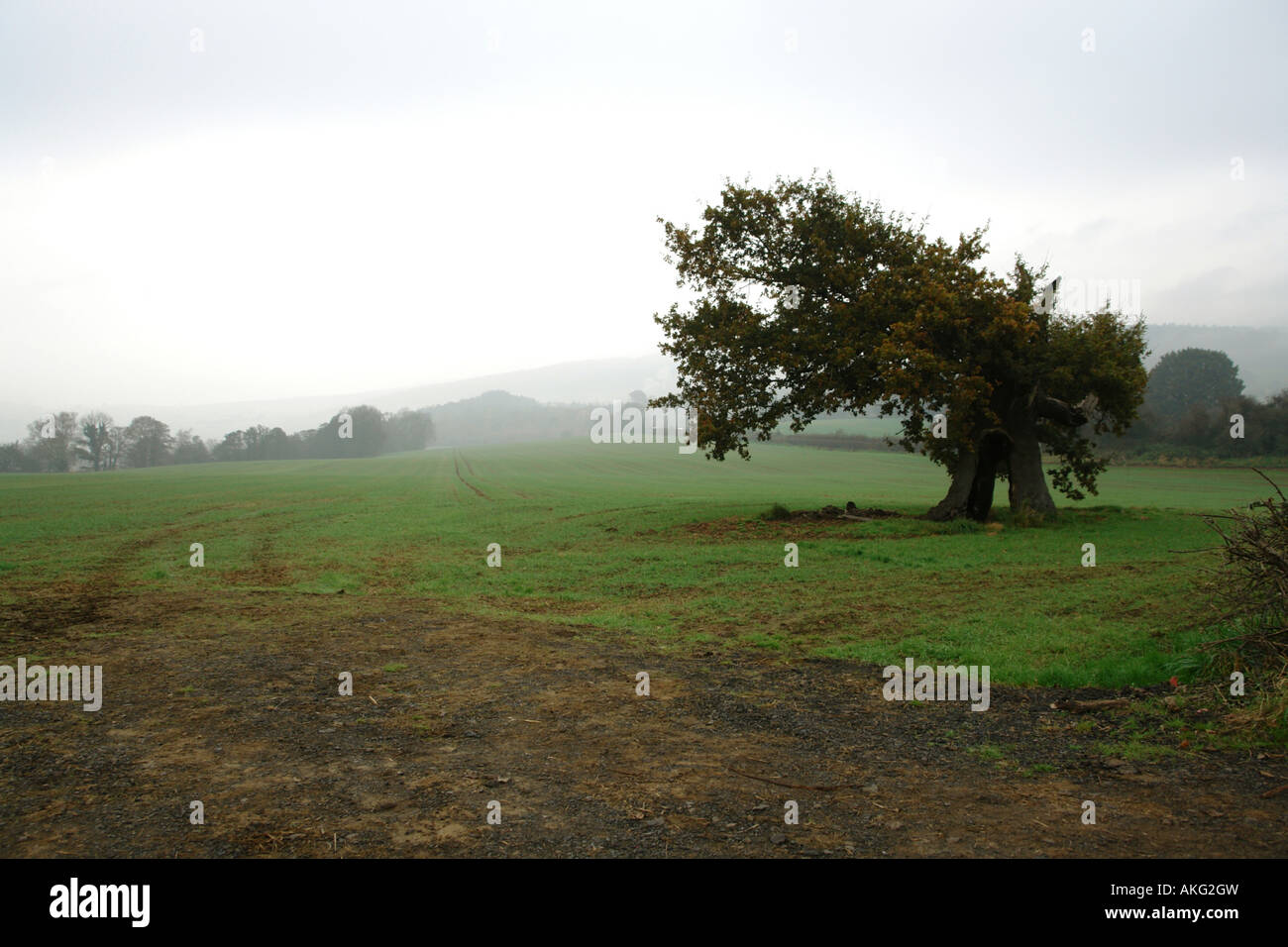 Draethen hi-res stock photography and images - Alamy