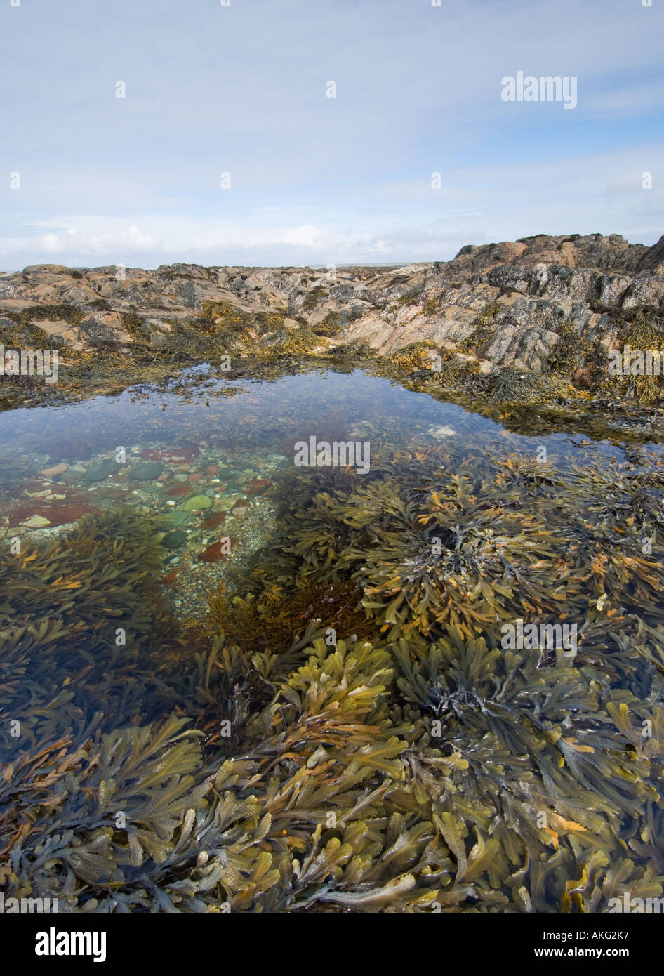 Reveled hi-res stock photography and images - Alamy