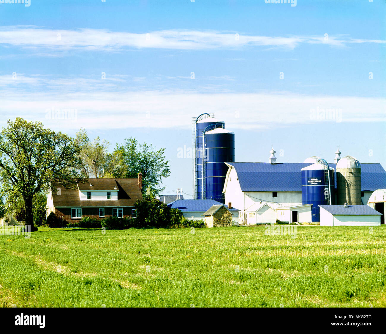 Wisconsin farm is typical with large dairy barn silos and green fields ...