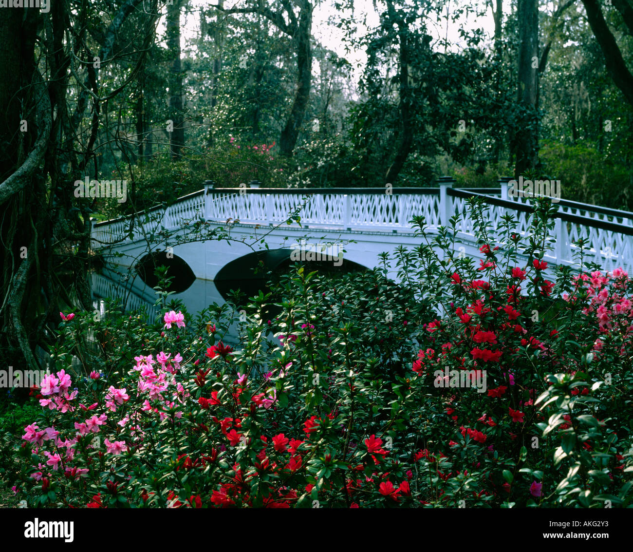 Rustic white bridge spans a tiny pond on the grounds at Magnolia ...