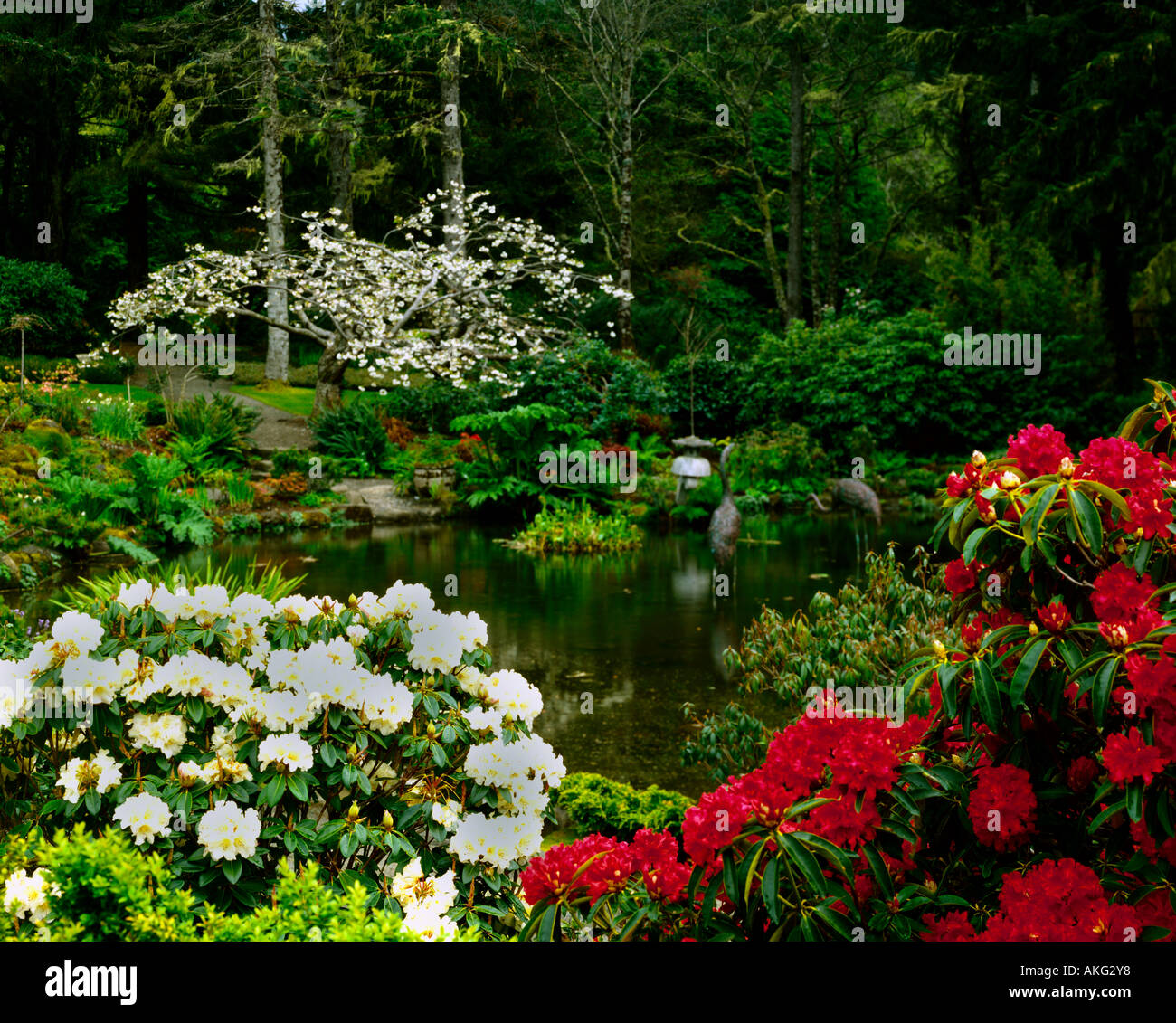 Shore acres botanical garden hi-res stock photography and images - Alamy