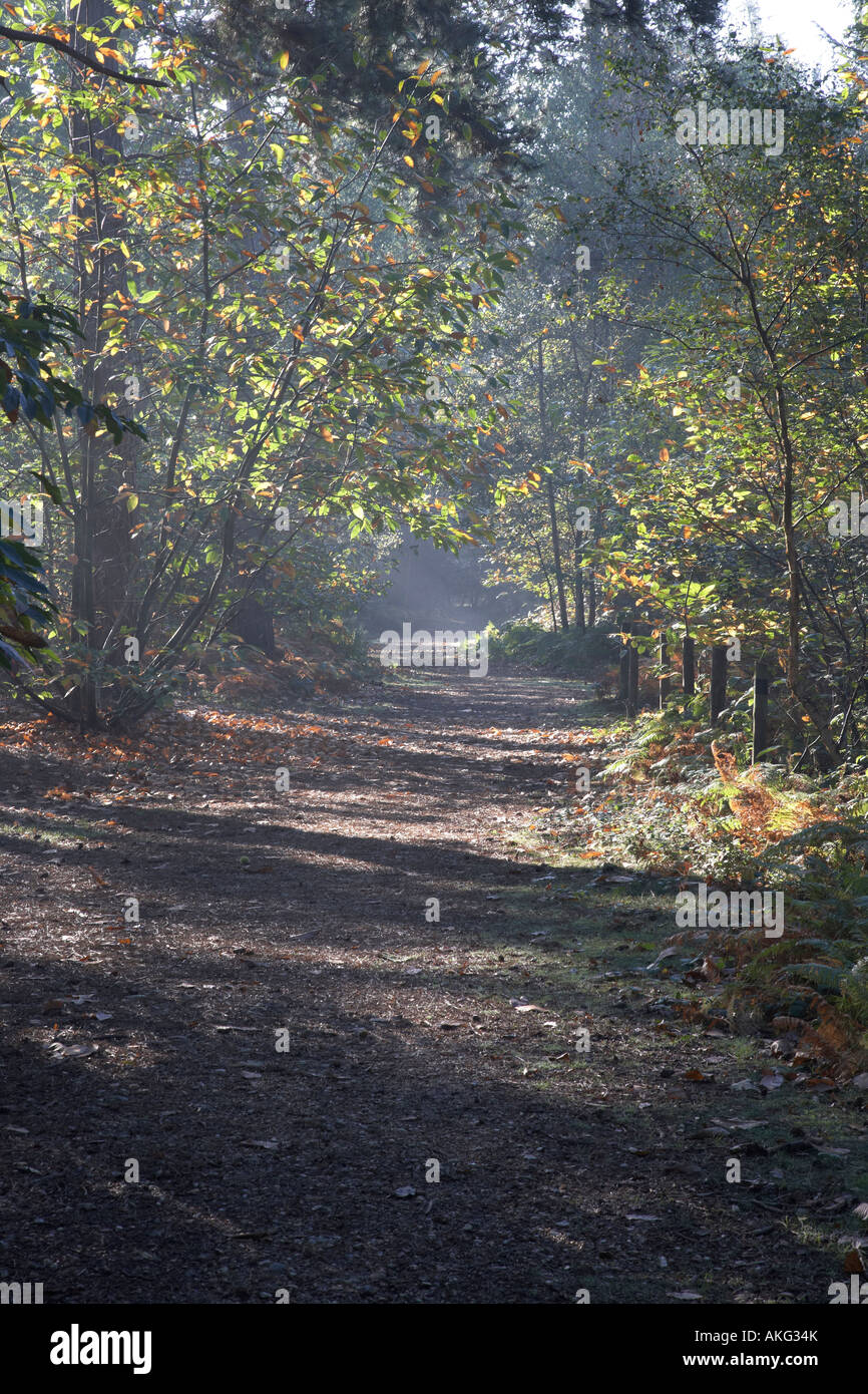 Trodden path beaten path hi-res stock photography and images - Alamy