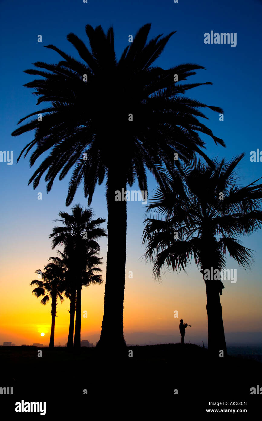 Trumpet Player Under Palm Trees At Loyola Marymount University Culver ...