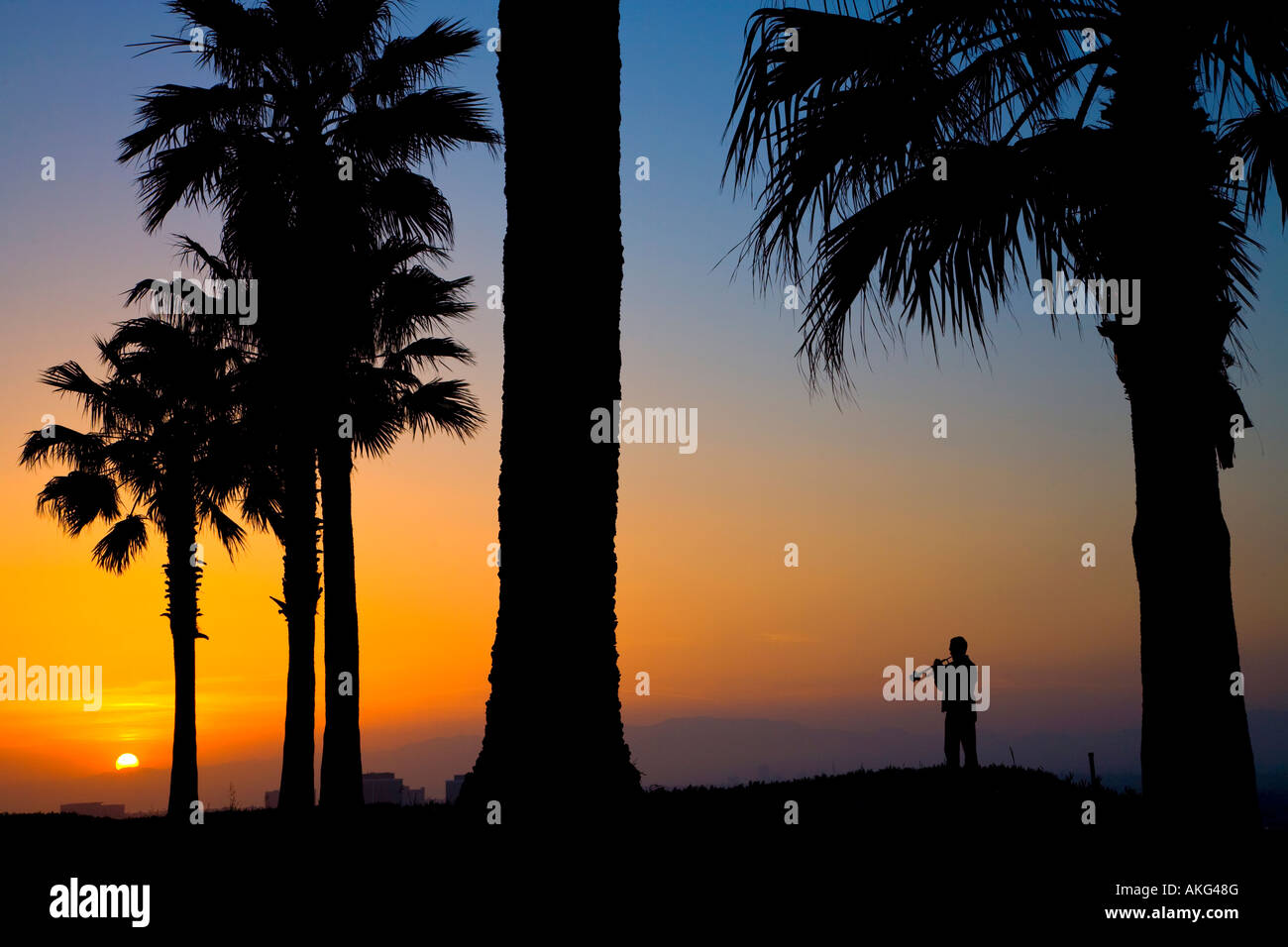 Trumpet Player Under Palm Trees At Loyola Marymount University Culver ...