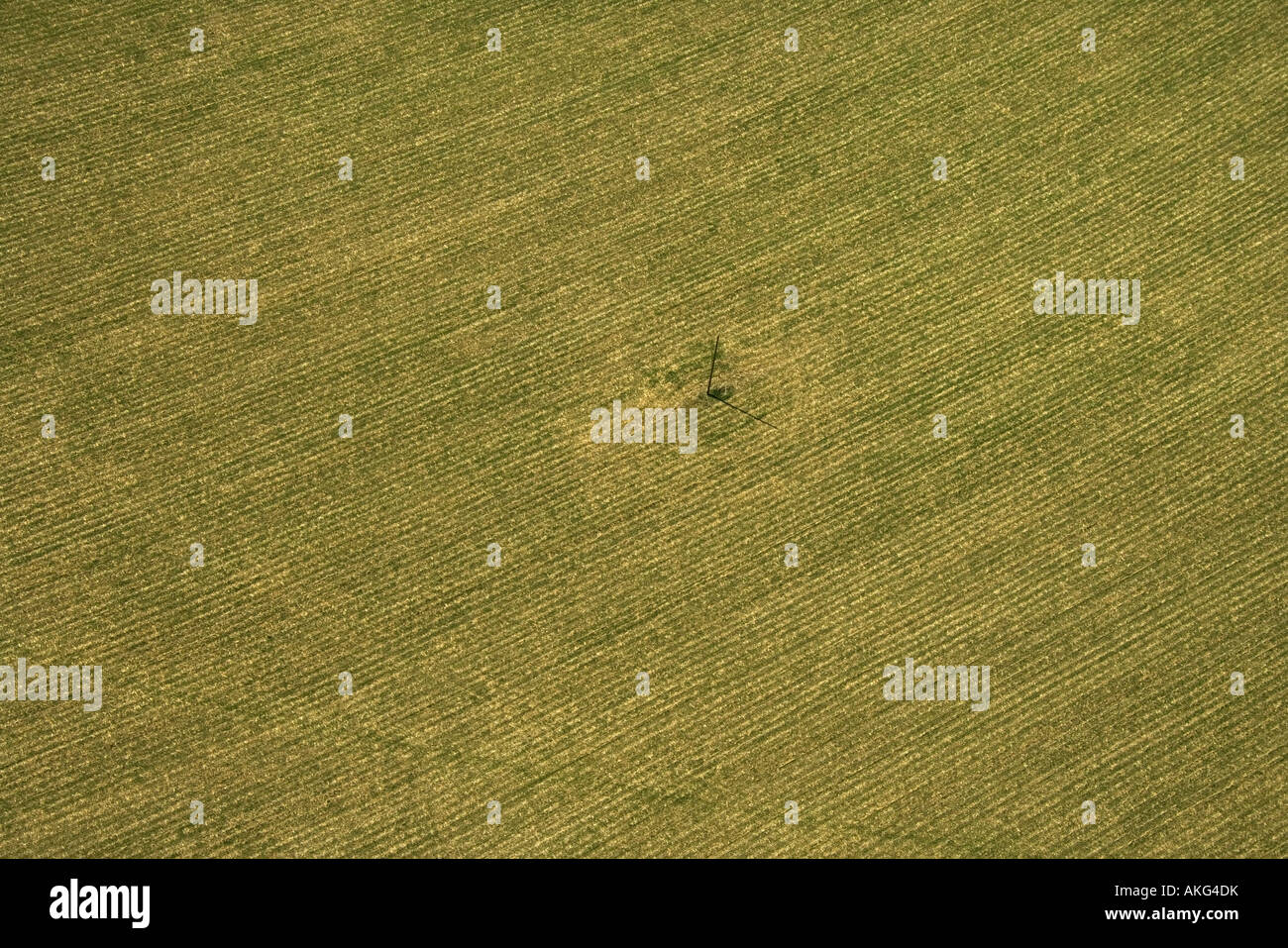 Aerial view of cultivated crop Stock Photo - Alamy