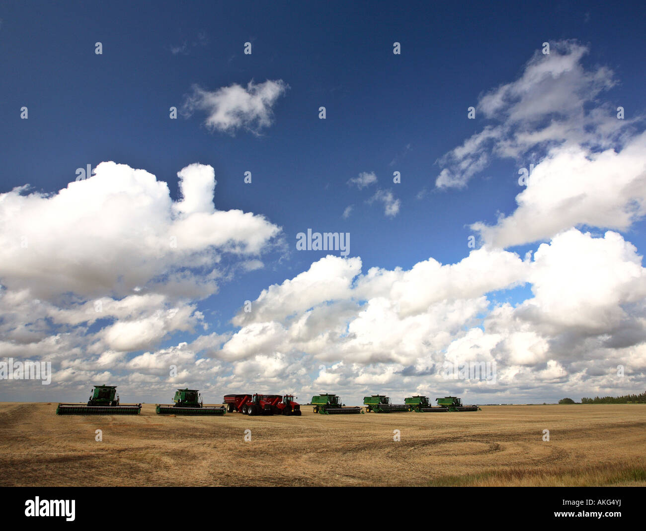 Combines lined up in a Saskatchewan field Stock Photo - Alamy