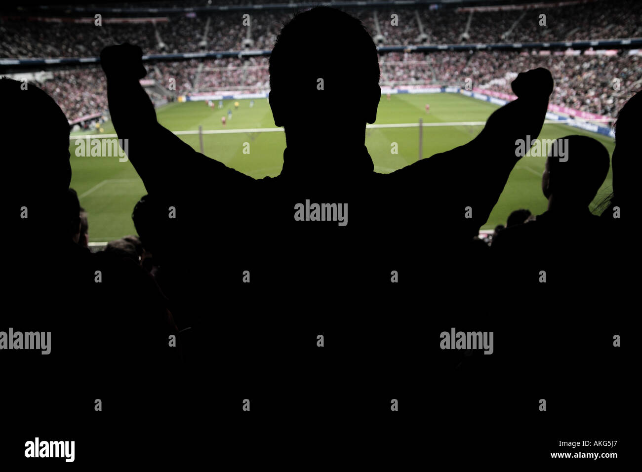 people encouraging their team during a sports game in a stadion Stock ...
