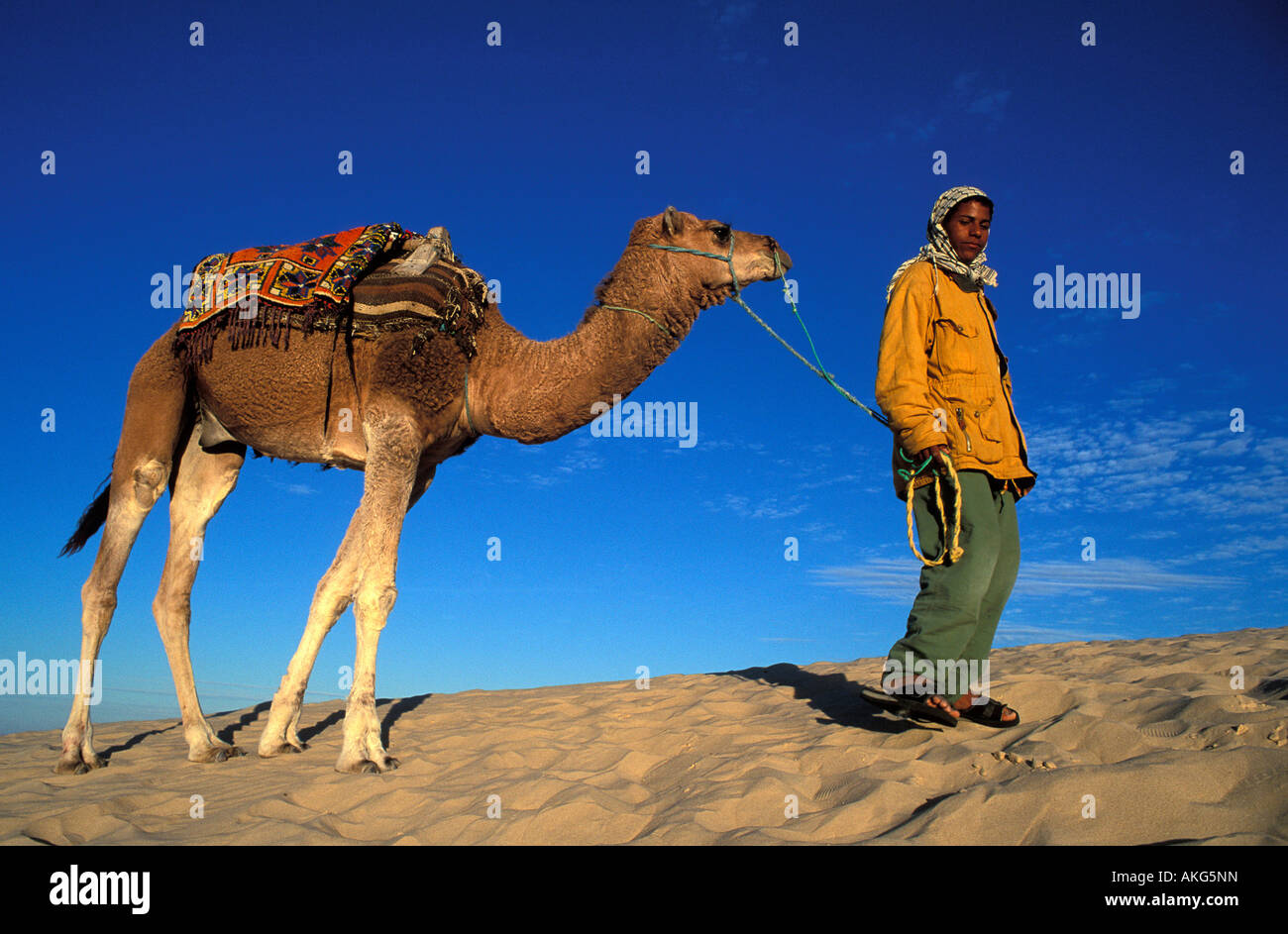Nefta area hi-res stock photography and images - Alamy