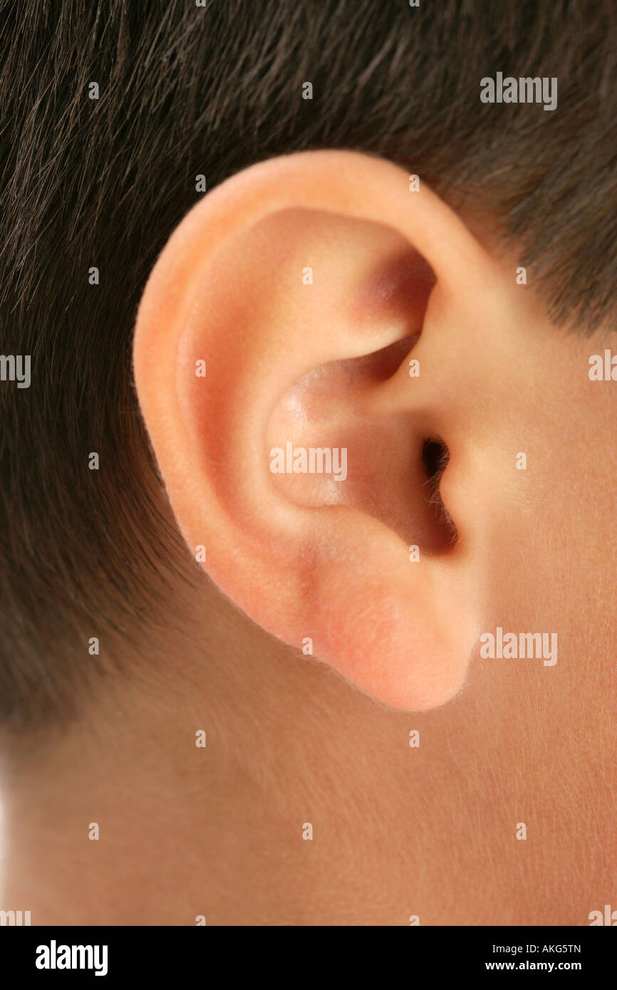 5 6years hi-res stock photography and images - Alamy