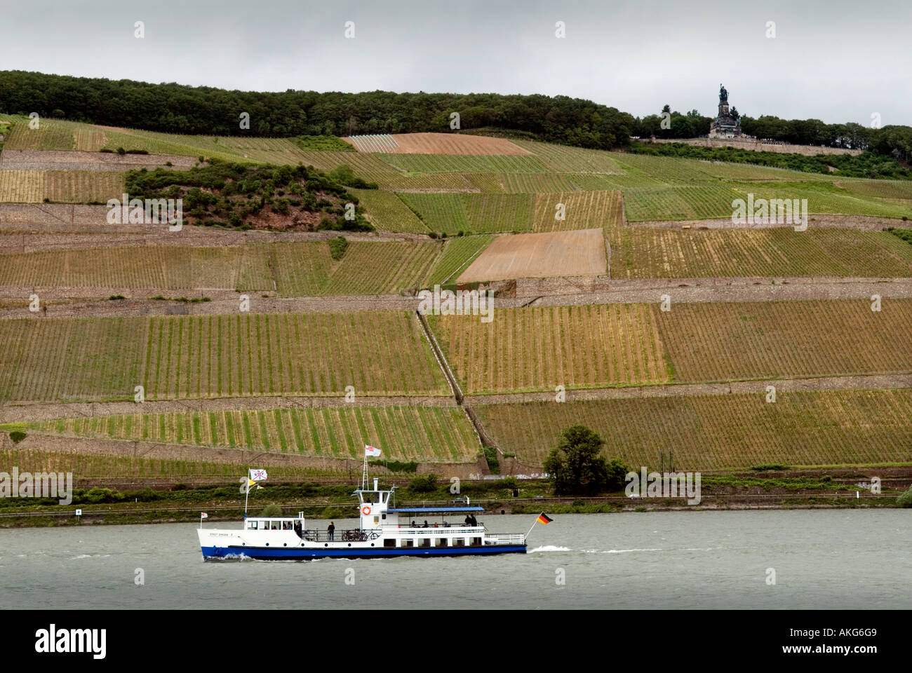 GERMANY THE RIVER RHINE BETWEEN KOBLENZ AND RUDESHEIM Stock Photo - Alamy