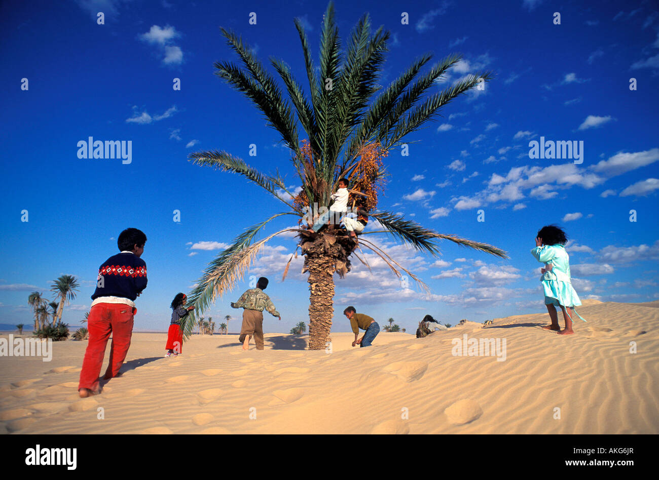 African boy climbing tree hi-res stock photography and images - Alamy