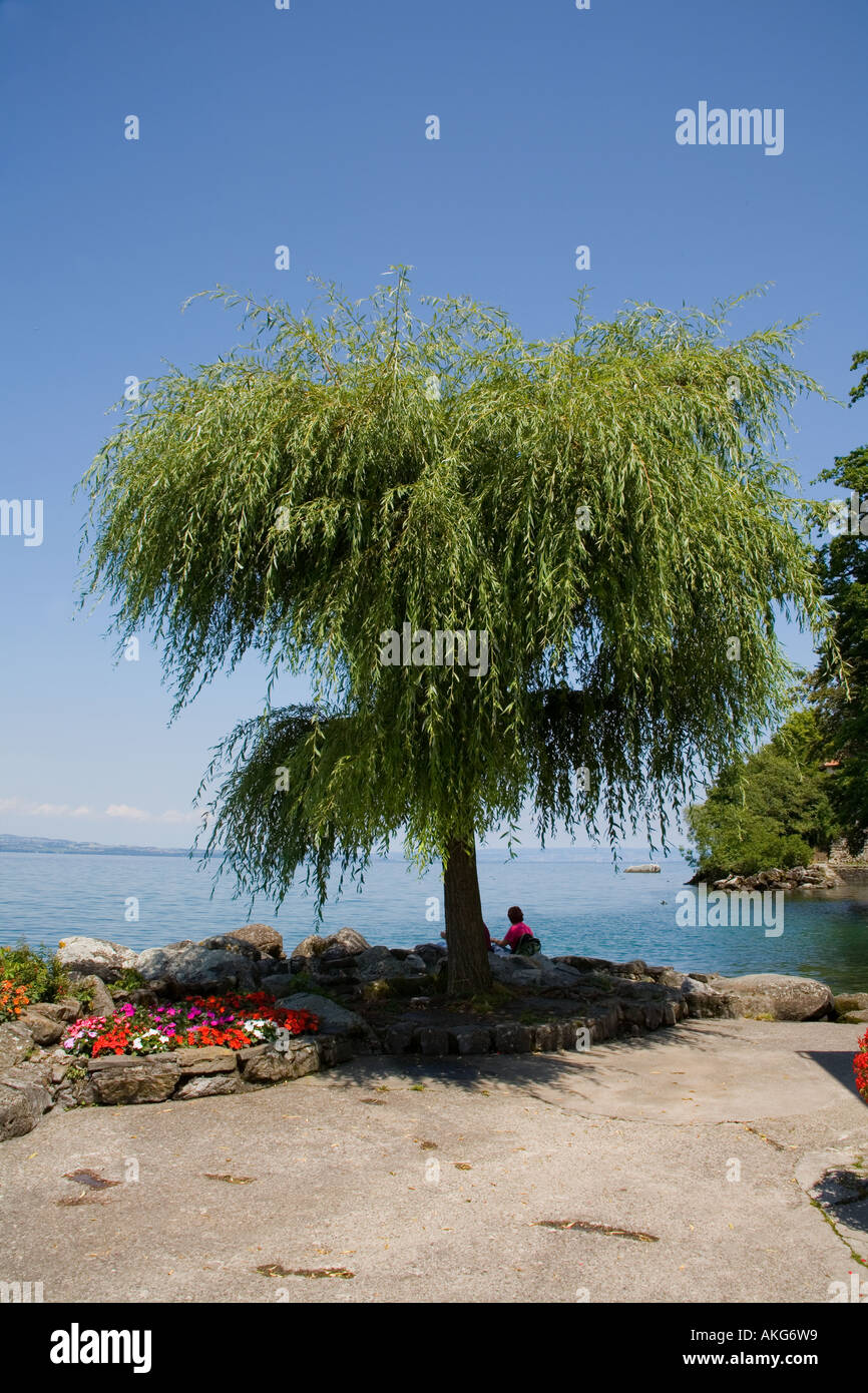 Picnic lake geneva hi-res stock photography and images - Alamy