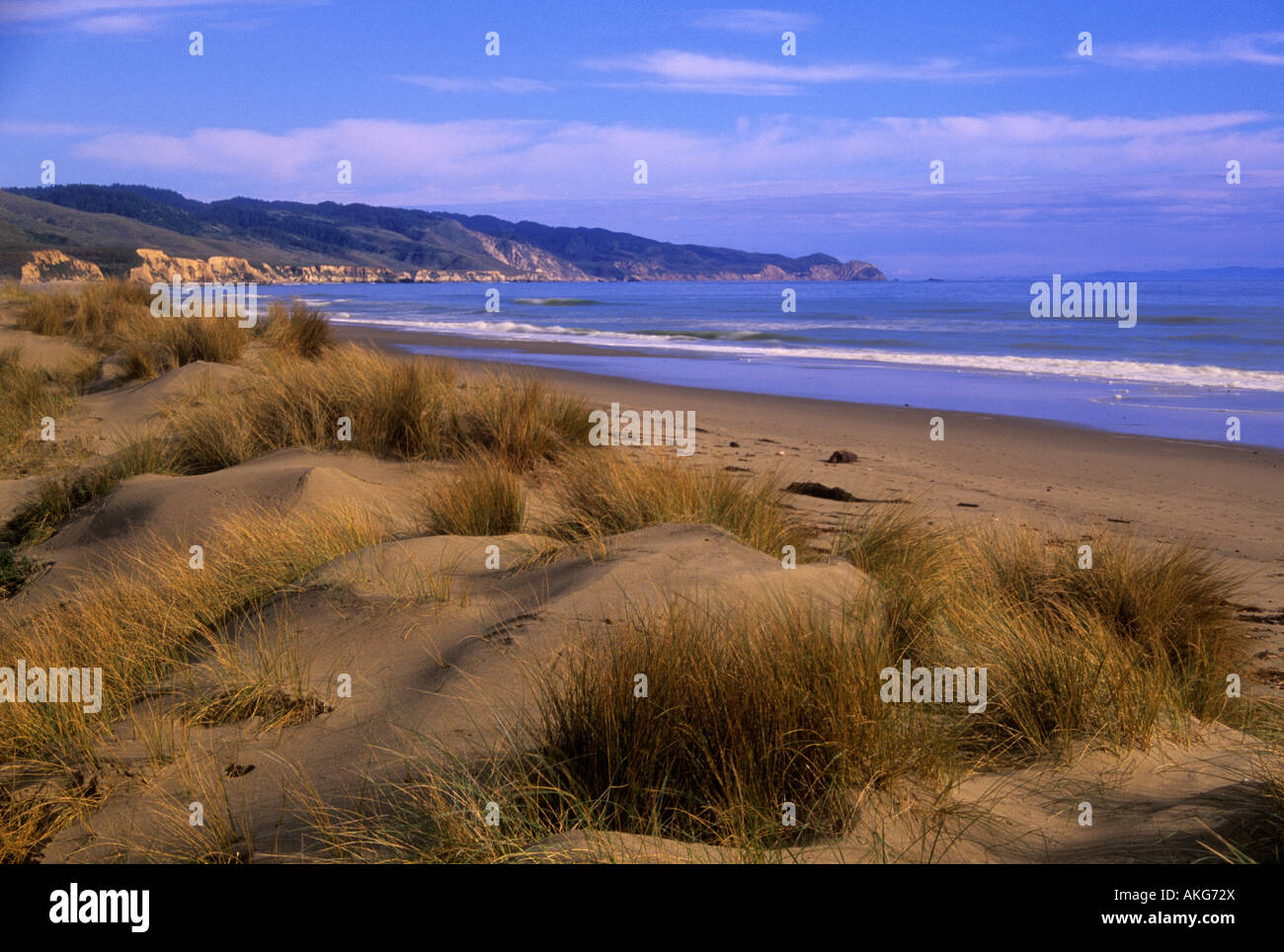 Limantour Beach in Point Reyes National Seashore, California, USA Stock ...