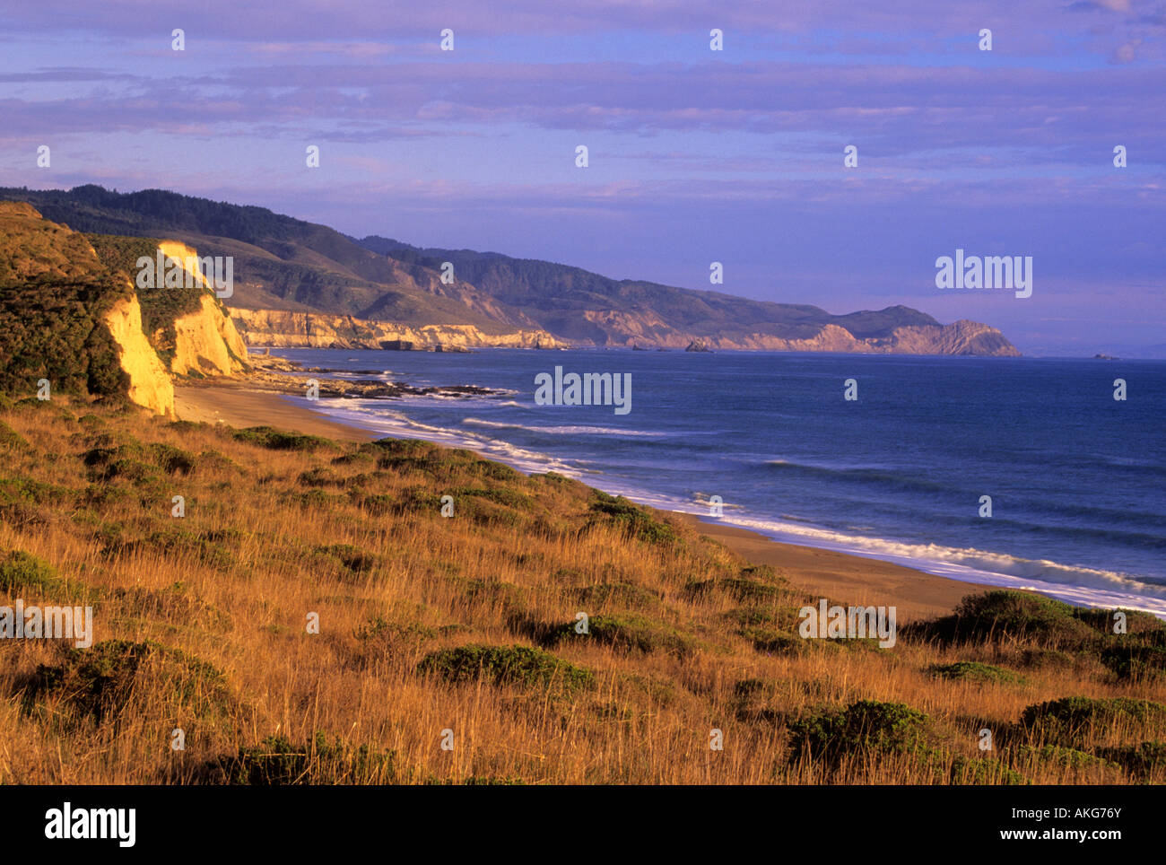 Limantour Beach in Point Reyes National Seashore, California, USA Stock ...
