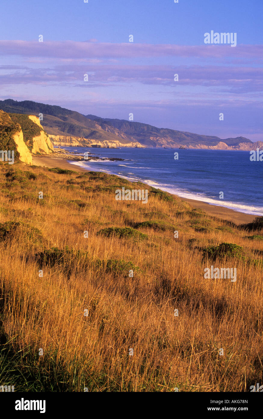 Limantour Beach in Point Reyes National Seashore, California, USA Stock ...
