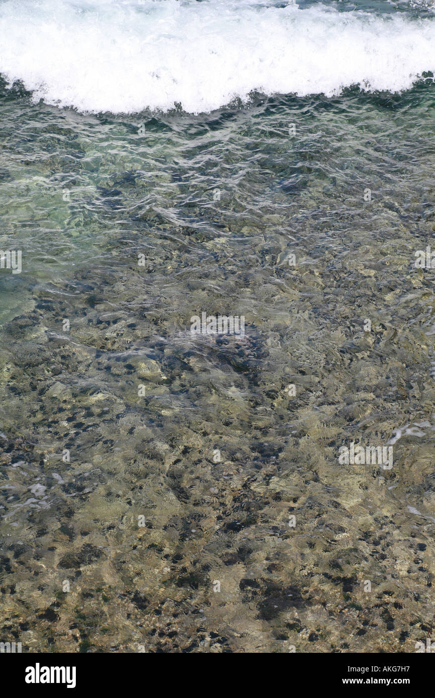 Beautiful ocean mood with beakers Stock Photo - Alamy