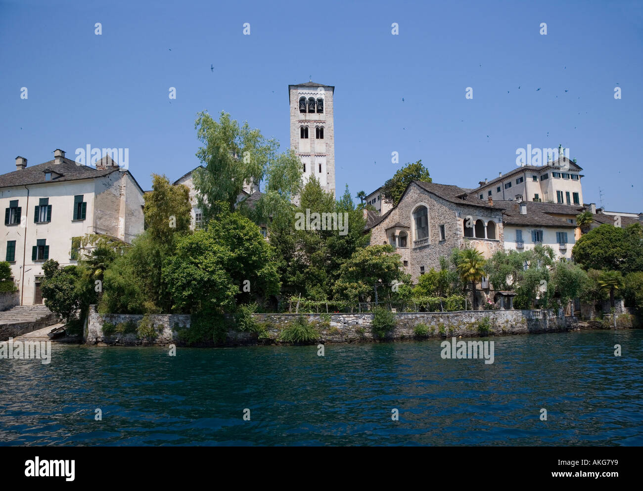 BASILICA DI SAN GIULIO ISOLA ORTA SAN GIULIO LAKE ORTA FLOCK OF SWIFTS ...