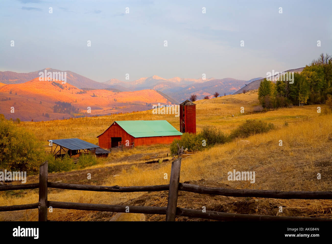 Cascades washington red cedar hi-res stock photography and images - Alamy