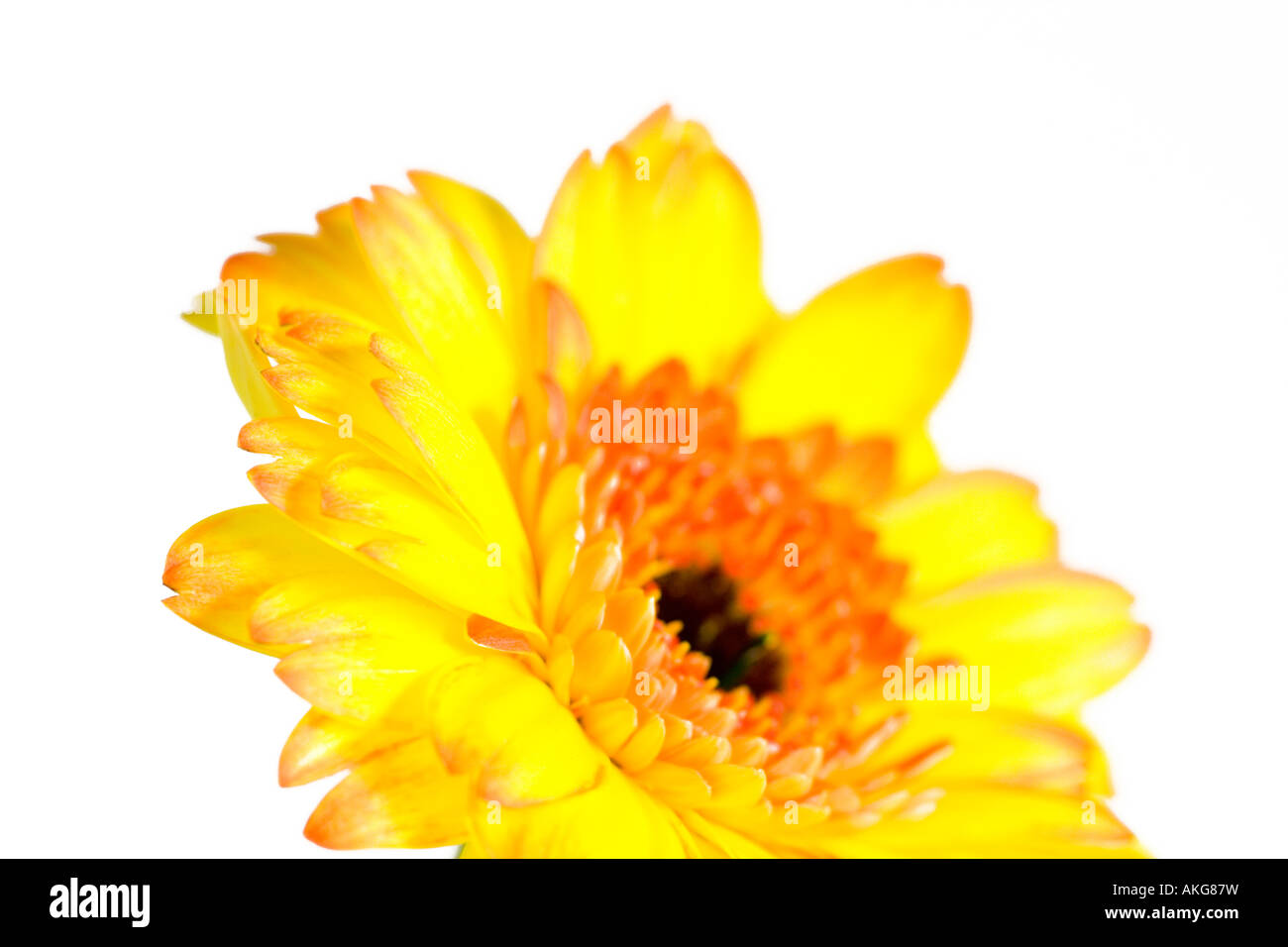 Noble symbols hi-res stock photography and images - Alamy