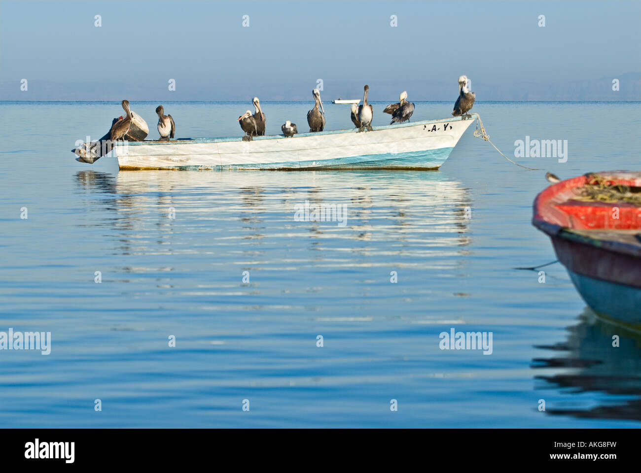 Small covered boat floating hi-res stock photography and images - Alamy