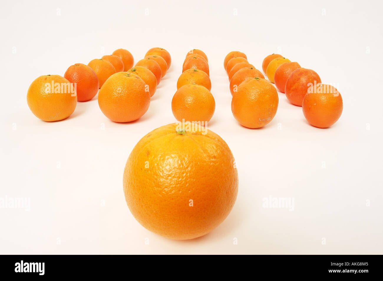 oranges arranged on a white background symbolizing teamwork leadership ...