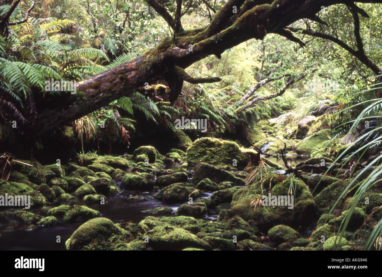 Doughboy bay hi-res stock photography and images - Alamy