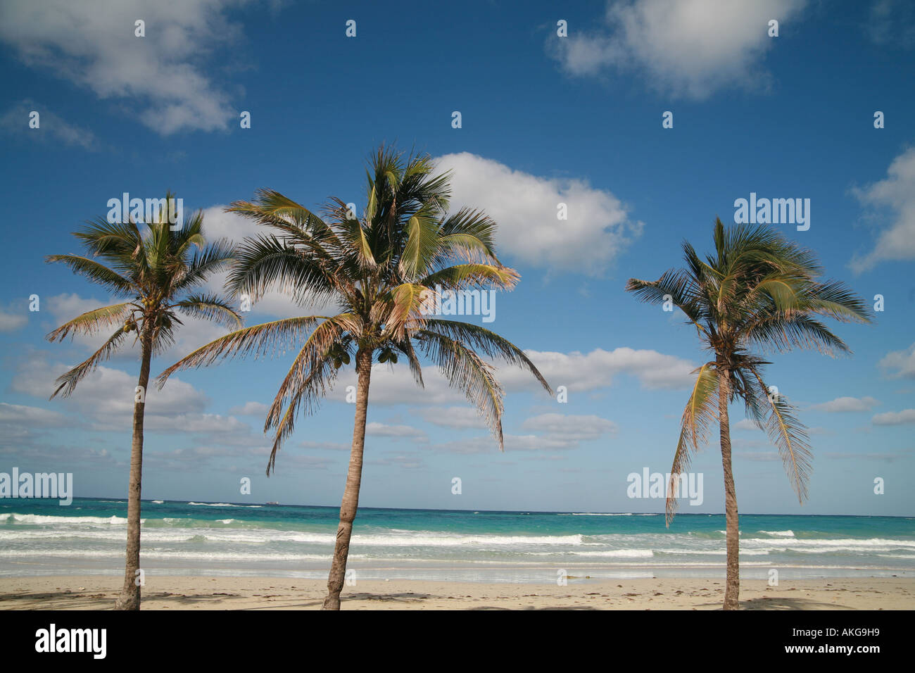 a beautiful tropical island scene Stock Photo - Alamy