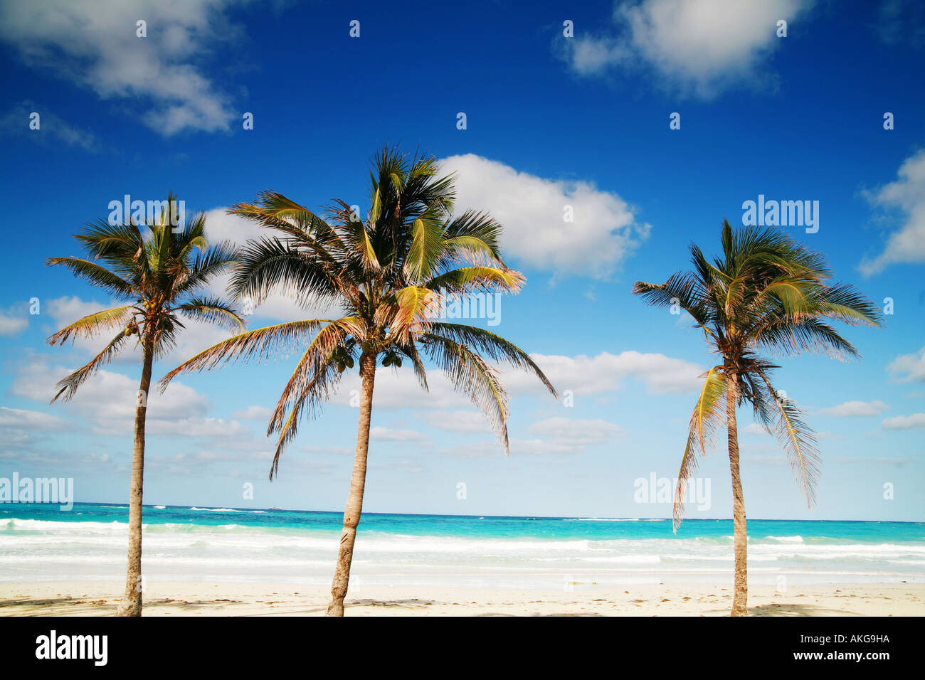 a beautiful tropical island scene Stock Photo - Alamy