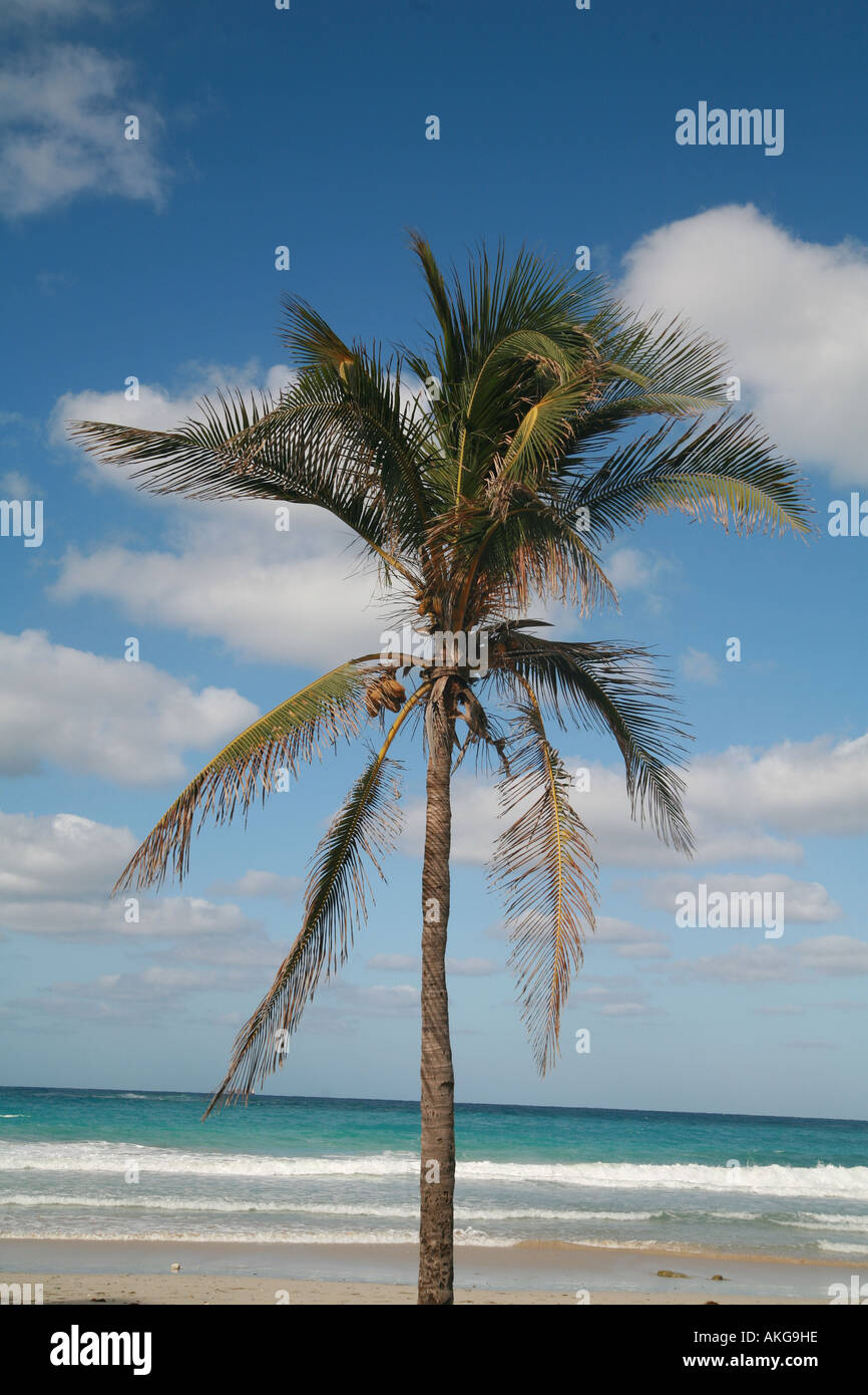a beautiful tropical island scene Stock Photo - Alamy