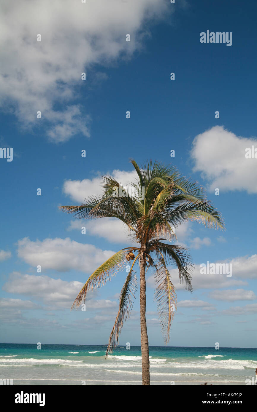 a beautiful tropical island scene Stock Photo - Alamy